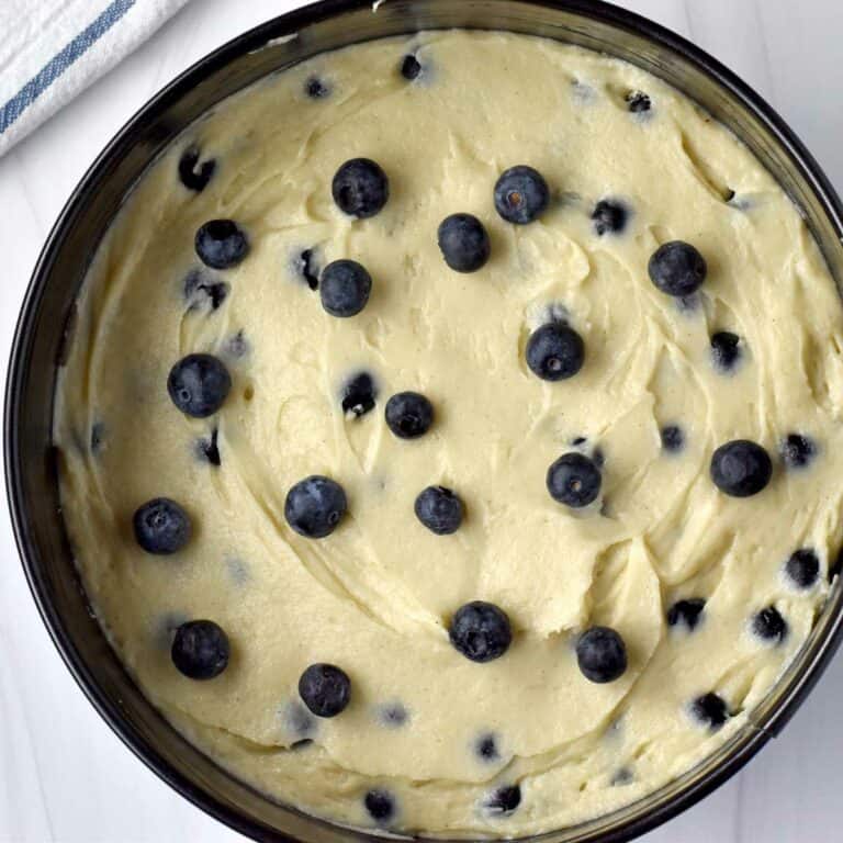 Gluten Free Blueberry Cake - Flavor Walk